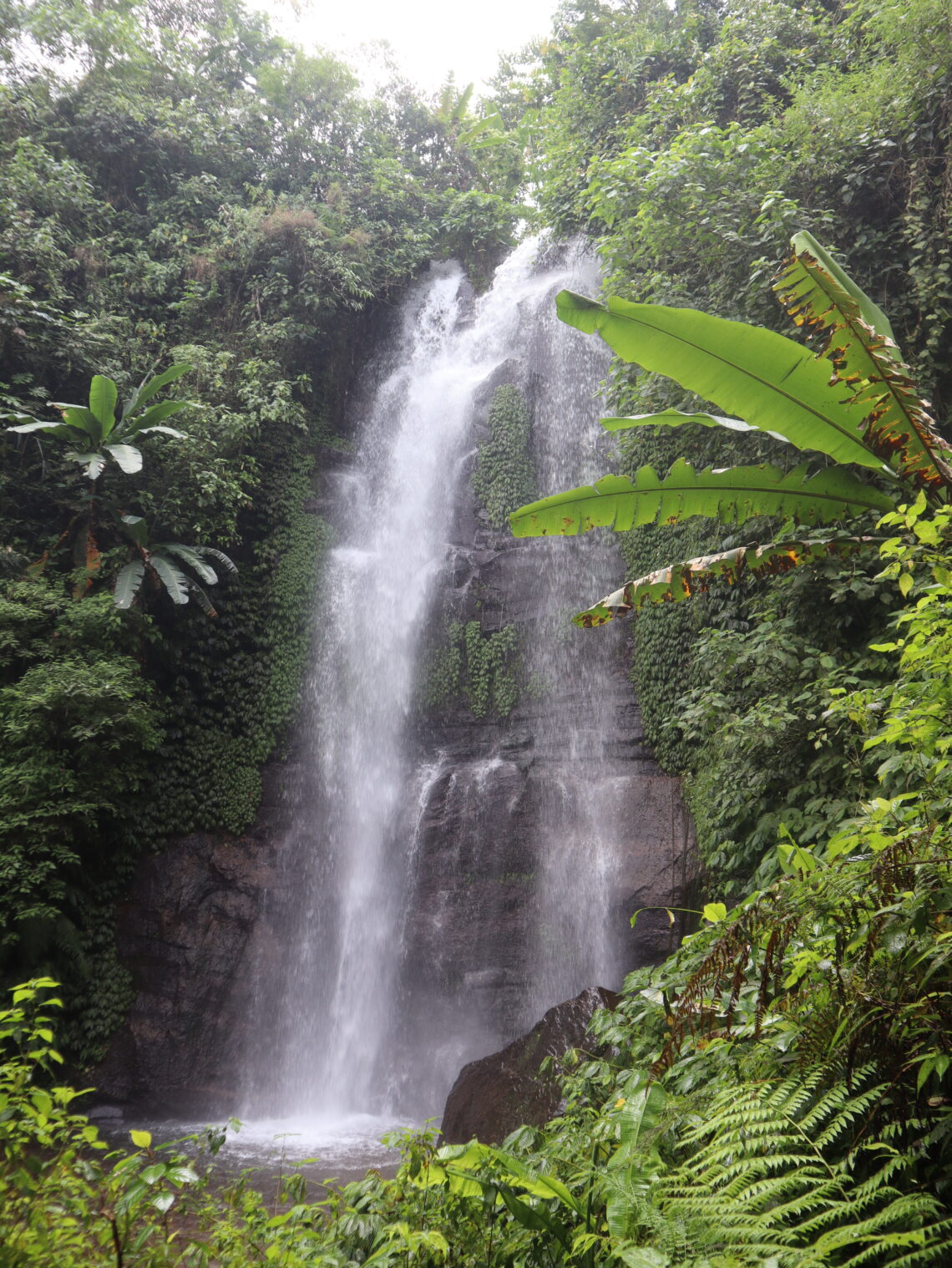 Que faire à Munduk ? Cascades et temples au nord de Bali