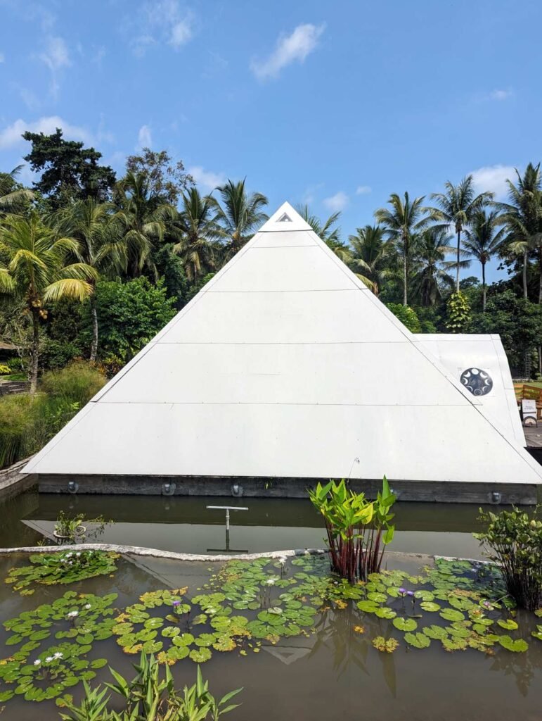 Que faire à Ubud ? Mes meilleures activités